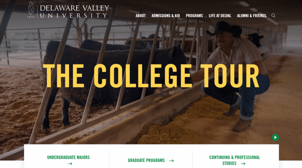 Amplifying Student Voices for Higher Ed Marketing Success